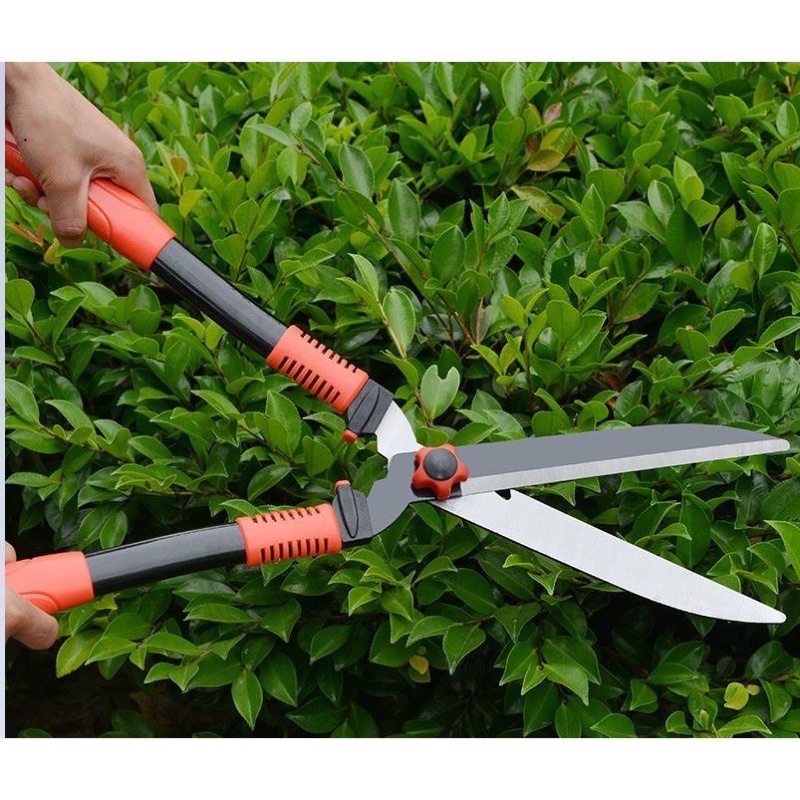 Essential Gardening Tools | Online shopping in Nepal